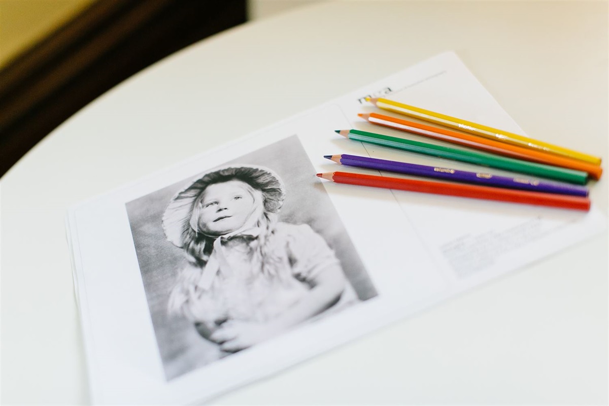 Learning guides Darebin Arts