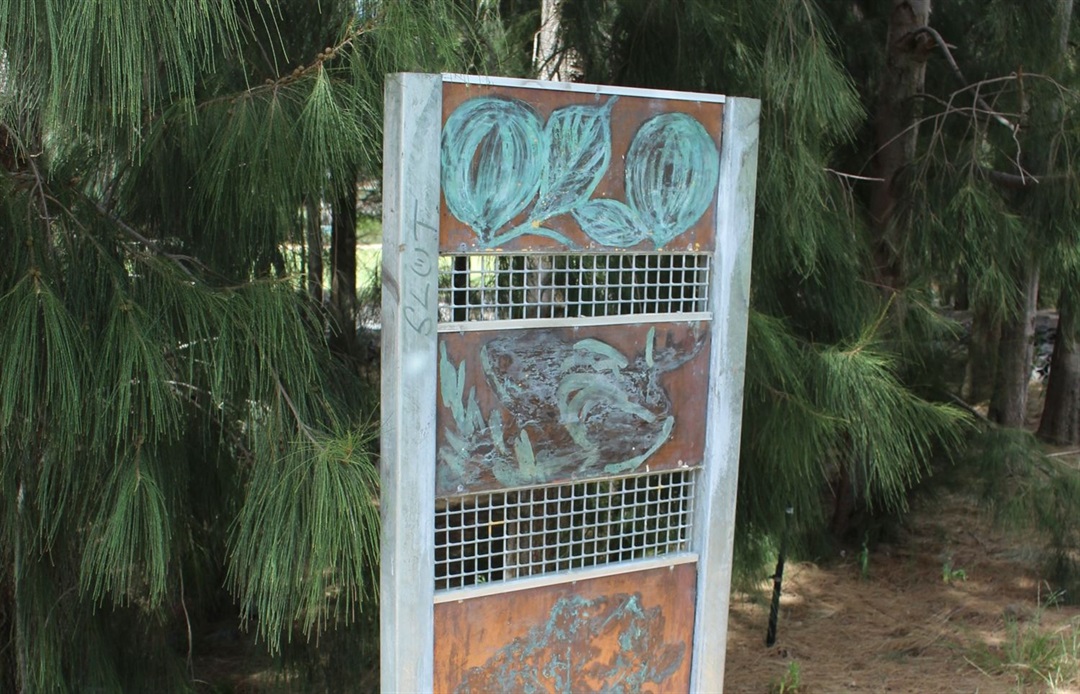 Windows - Arhonda Orestia Darebin Arts